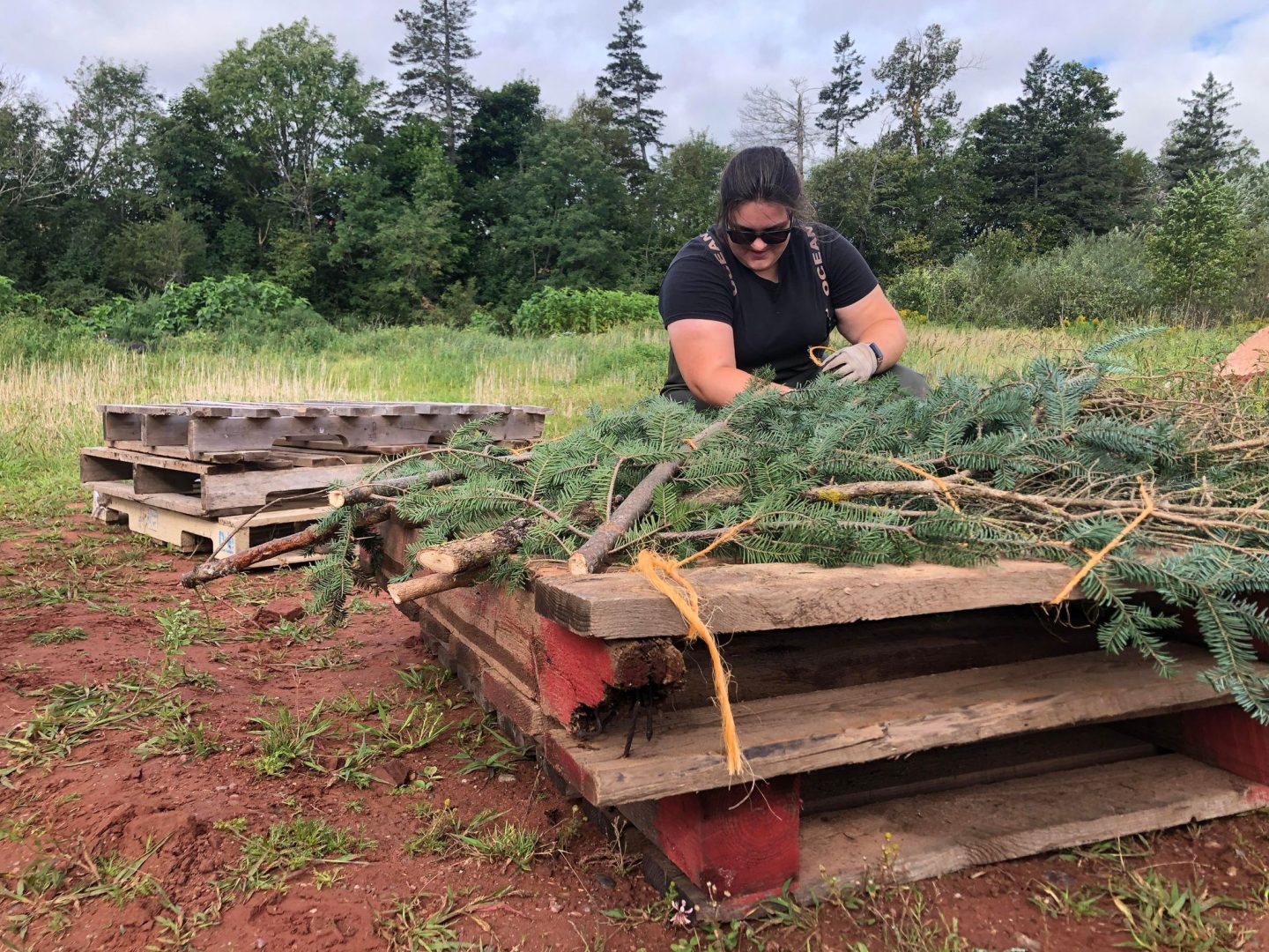 South Shore Watershed Association – SSWA