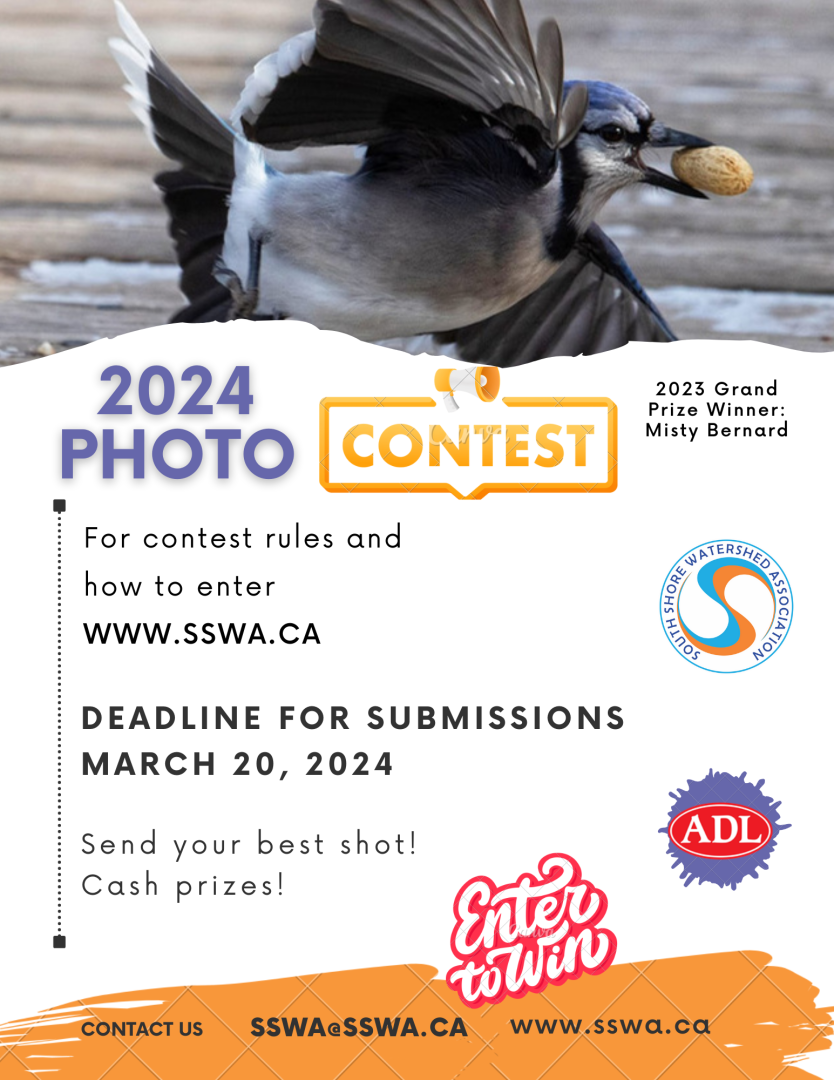 News / Events – South Shore Watershed Association